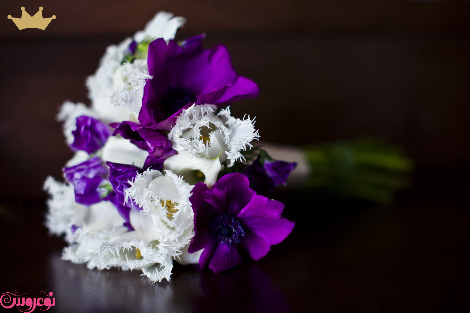 آلبوم یک دسته گل مهیج بنفش
